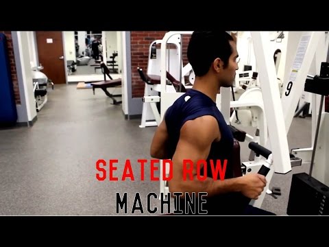 Seated Machine Row - Instructions, Information & Alternatives ...