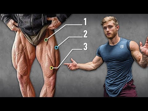 Leg Extensions - Instructions, Information & Alternatives » Training.fit