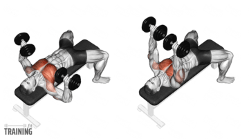 Bench Press - How to » Training.fit