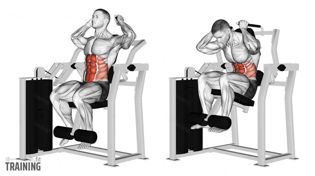 Abdominal Crunch - Instructions, Information & Alternatives » Training.fit