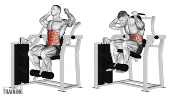 Crunches: execution, tips and hints » Training.fit