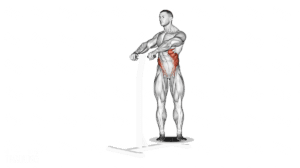 Rotary Torso Machine - Instructions, Information & Alternatives ...