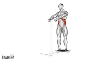 Standing Abdominal Twist - Instructions, Information & Alternatives ...