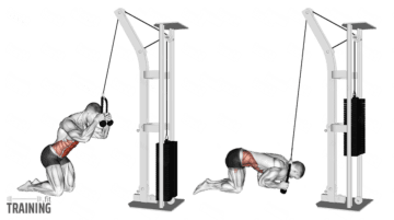 Abdominal Crunch - Instructions, Information & Alternatives » Training.fit