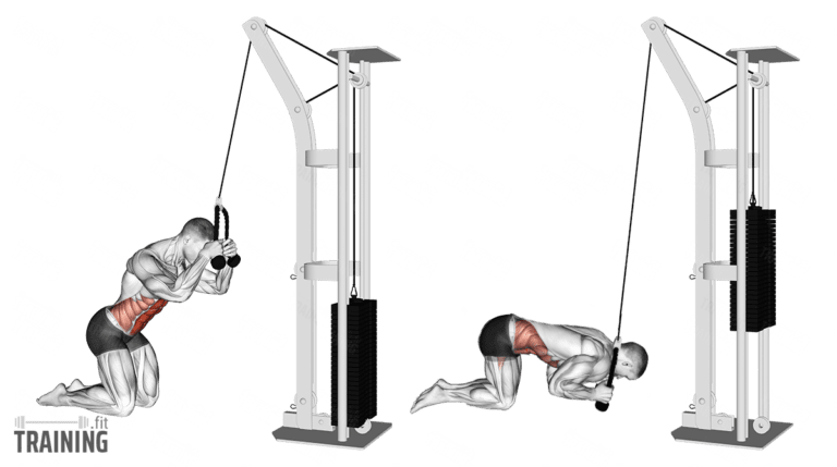 Cable Crunch - Instructions, Information & Alternatives » Training.fit