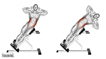 Windshield Wipers - Instructions, Information & Alternatives » Training.fit