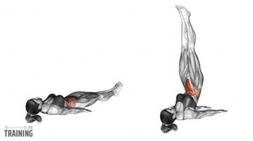 Crunches: execution, tips and hints » Training.fit