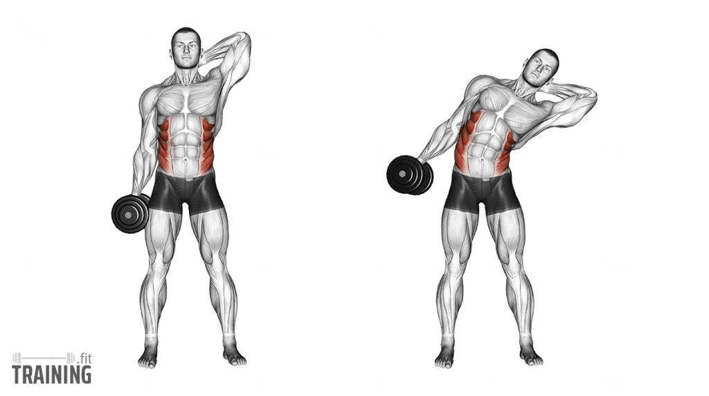 Side Bends - Instructions, Information & Alternatives » Training.fit