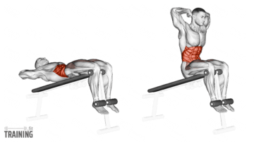 Sit Ups - Instructions, Information & Alternatives » Training.fit