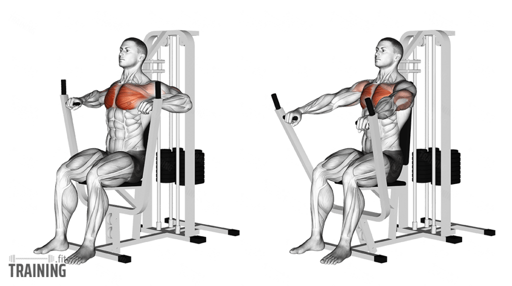 Chest Press - Instructions, Information & Alternatives » Training.fit