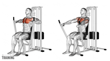 Machine Fly - Instructions, Information & Alternatives » Training.fit