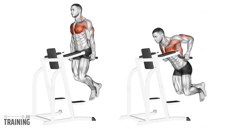 Dips - Anleitung, Infos & Alternativen » Training.fit