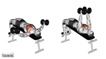 Incline Dumbbell Fly - Instructions, Information & Alternatives ...