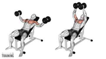 Incline Cable Fly - Instructions, Information & Alternatives » Training.fit