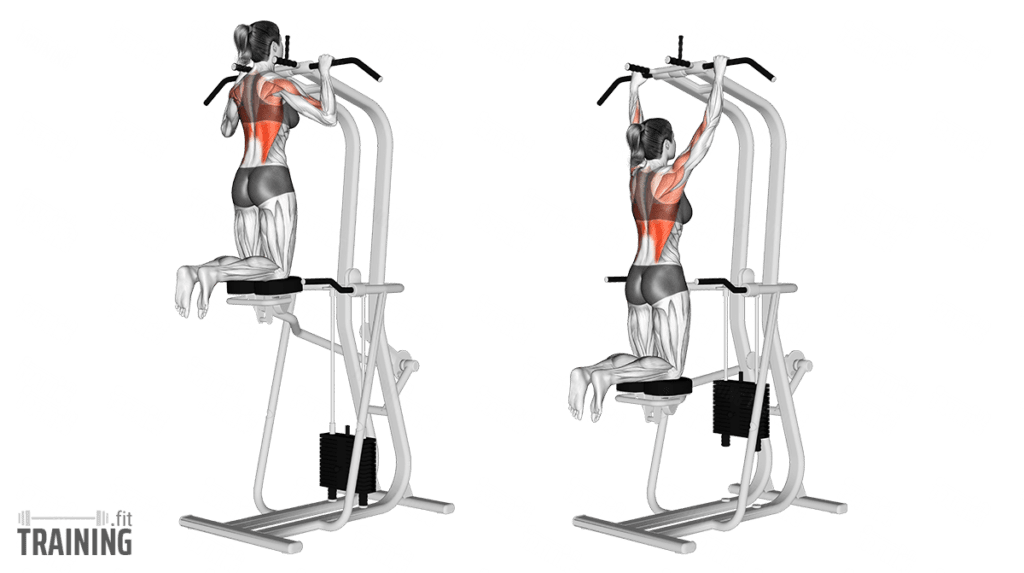 Assisted Pull-Ups - Instructions, Information & Alternatives » Training.fit