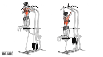 Pull-Ups - Instructions, Information & Alternatives » Training.fit