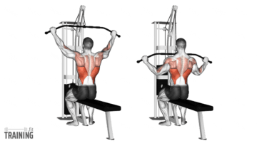 Latzug - Anleitung, Infos & Alternativen » Training.fit