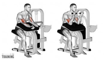 Scottcurls an der Maschine - Anleitung, Infos & Alternativen » Training.fit