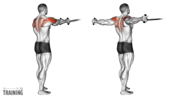 Reverse Butterfly - Anleitung, Infos & Alternativen » Training.fit