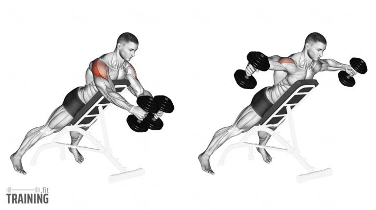 Reverse Flys - Instructions, Information & Alternatives » Training.fit