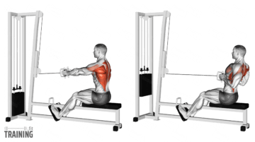 Seated Machine Row - Instructions, Information & Alternatives ...