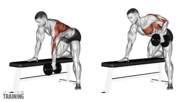 Umgekehrtes Rudern - Anleitung, Infos & Alternativen » Training.fit