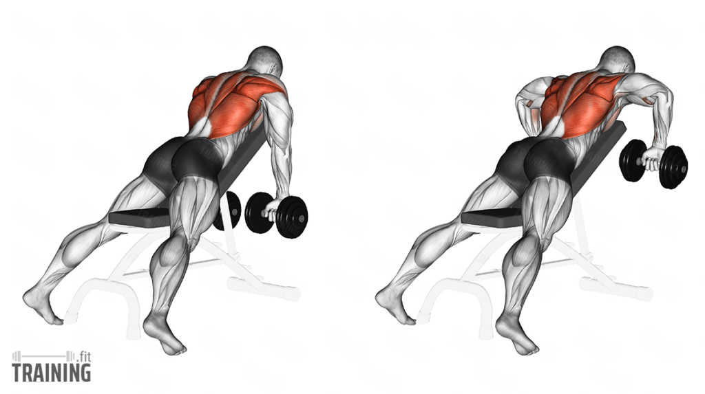 Incline Dumbell Row - Instructions, Information & Alternatives ...