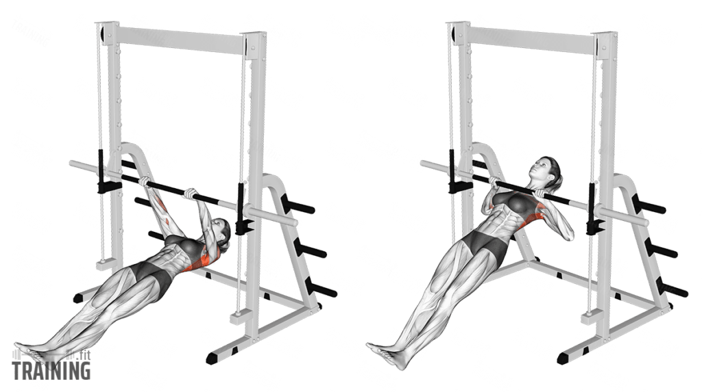 Neck training » Training.fit
