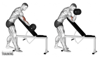 Concentration Curls - Instructions, Information & Alternatives ...