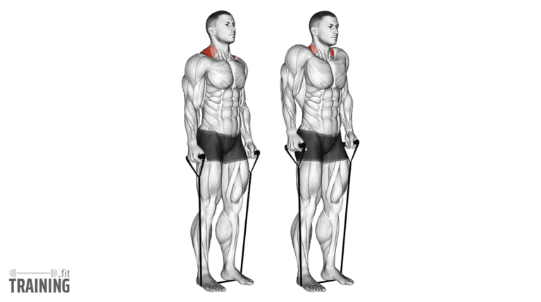 Resistance Band Shrugs - Instructions, Information & Alternatives ...