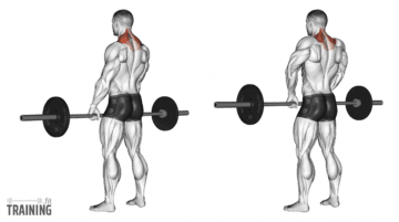 Prone Incline Dumbell Shrug - Instructions, Information & Alternatives ...