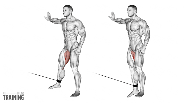 Cable Hip Adduction - Instructions, Information & Alternatives ...