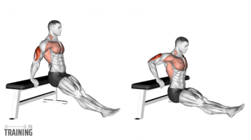 Dips - Instructions, Information & Alternatives » Training.fit
