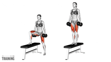 Step Ups - Instructions, Information & Alternatives » Training.fit