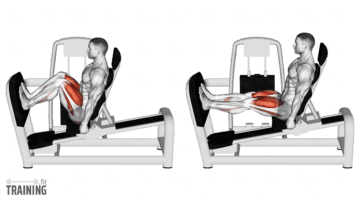 Hackenschmidt-Kniebeugen am Gerät - Anleitung, Infos & Alternativen ...