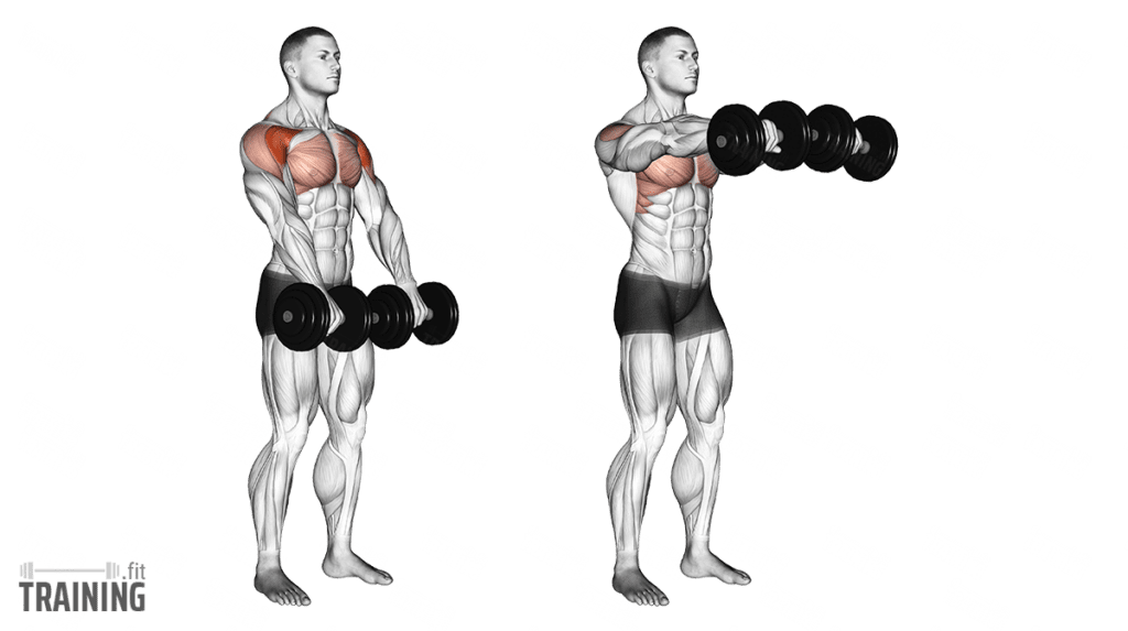 Front Raise - Instructions, Information & Alternatives » Training.fit