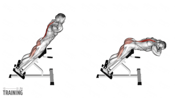 Seated Back Extension - Instructions, Information & Alternatives ...