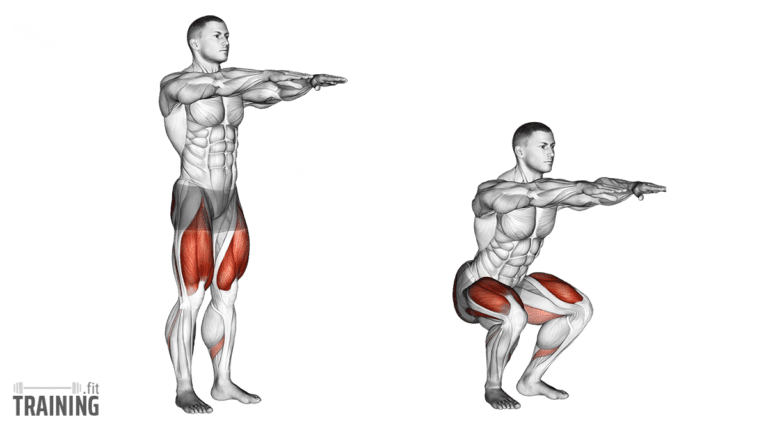 Squats - Instructions, Information & Alternatives » Training.fit