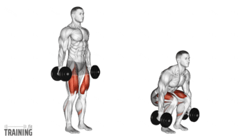 Zercher Squat - Instructions, Information & Alternatives » Training.fit