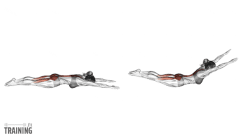 Back Extension - Instructions, Information & Alternatives » Training.fit