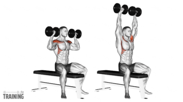 Seitenheben - Anleitung, Infos & Alternativen » Training.fit