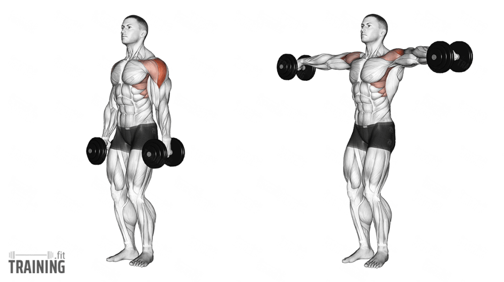 Seitenheben - Anleitung, Infos & Alternativen » Training.fit