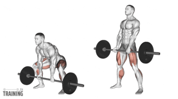 Romanian Deadlift - Instructions, Information & Alternatives » Training.fit