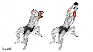 Dumbbell Skullcrusher - Instructions, Information & Alternatives ...