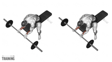 Finger Curls - Instructions, Information & Alternatives » Training.fit