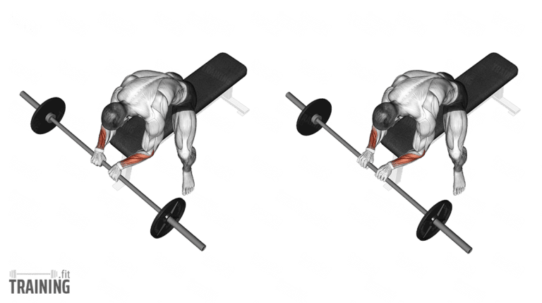 Forearm training » Training.fit