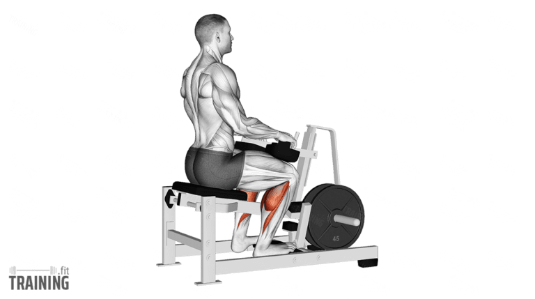 Wadenheben am Gerät - Anleitung, Infos & Alternativen » Training.fit