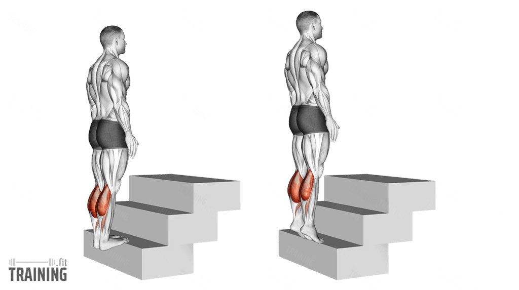 Wadenheben, stehend - Anleitung, Infos & Alternativen » Training.fit