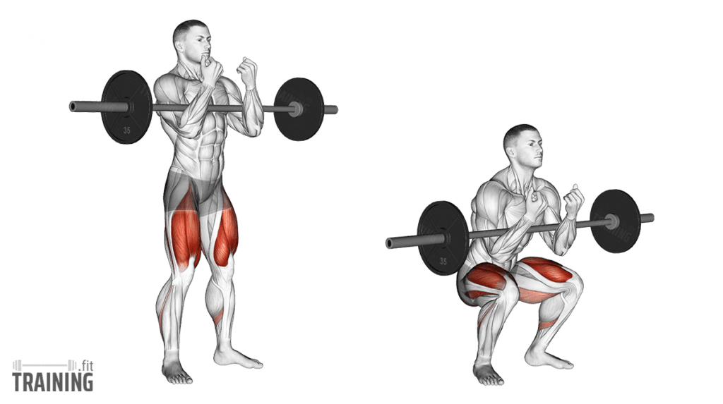 Zercher Squat - Instructions, Information & Alternatives » Training.fit